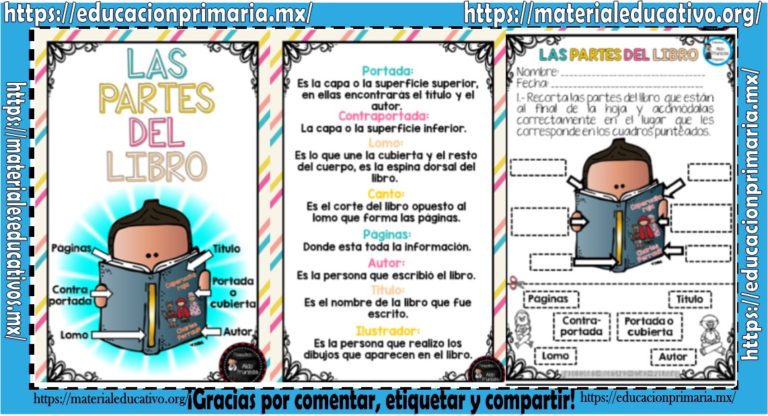 Partes del libro y actividades | Material Educativo