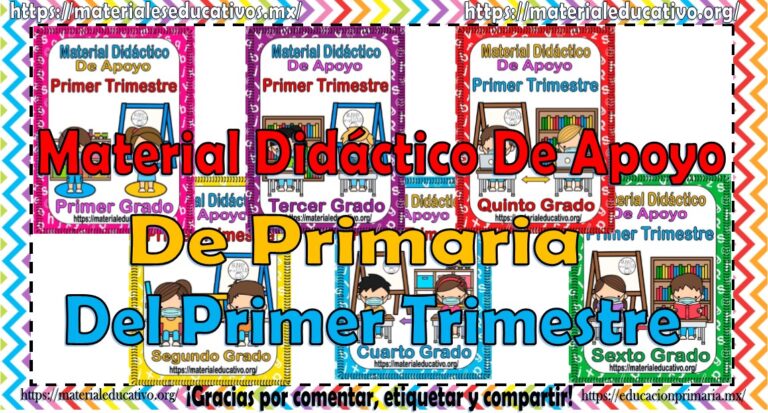 MaterialDidactico1erTrimestreME | Material Educativo