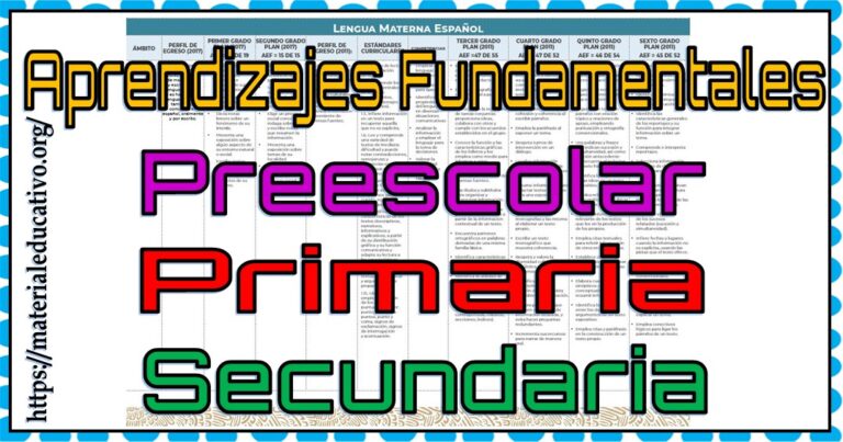 Aprendizajes fundamentales de preescolar, primaria y secundaria ...